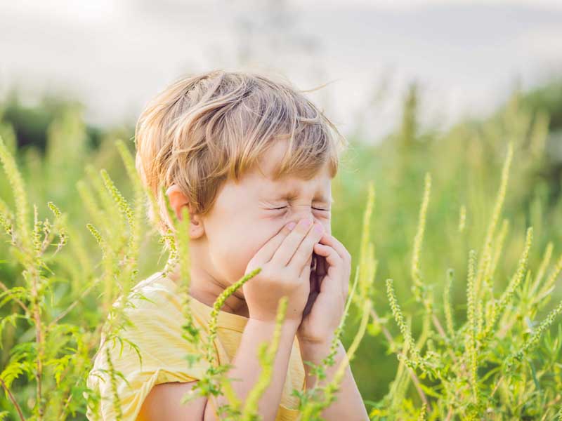 Helping Kids With Allergies - Brevard Health Alliance